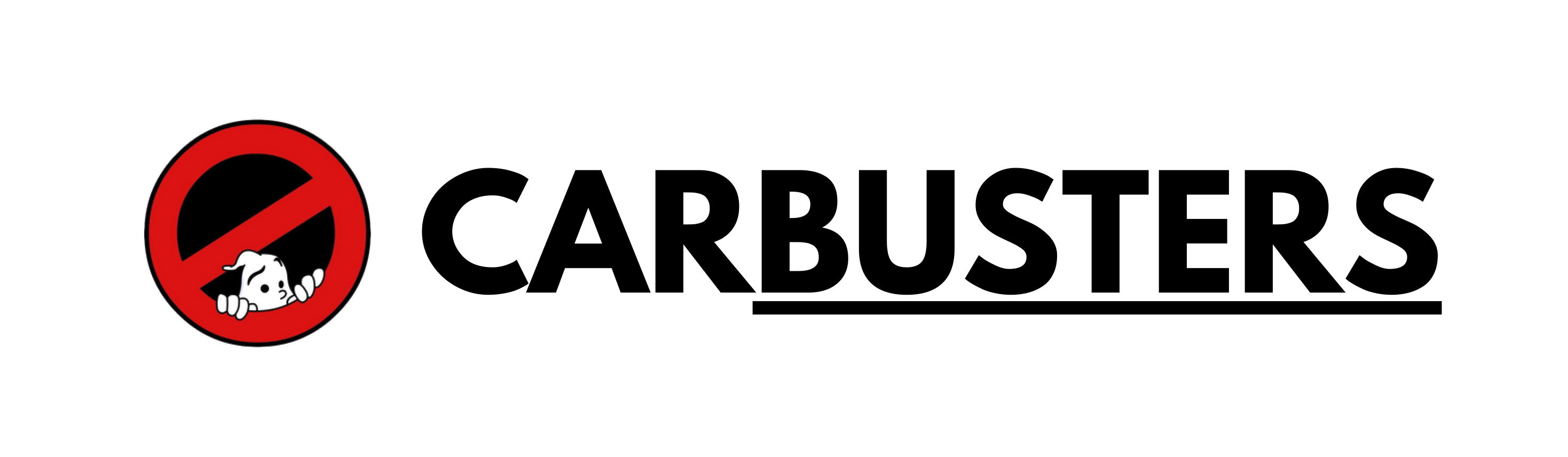 Carbusters